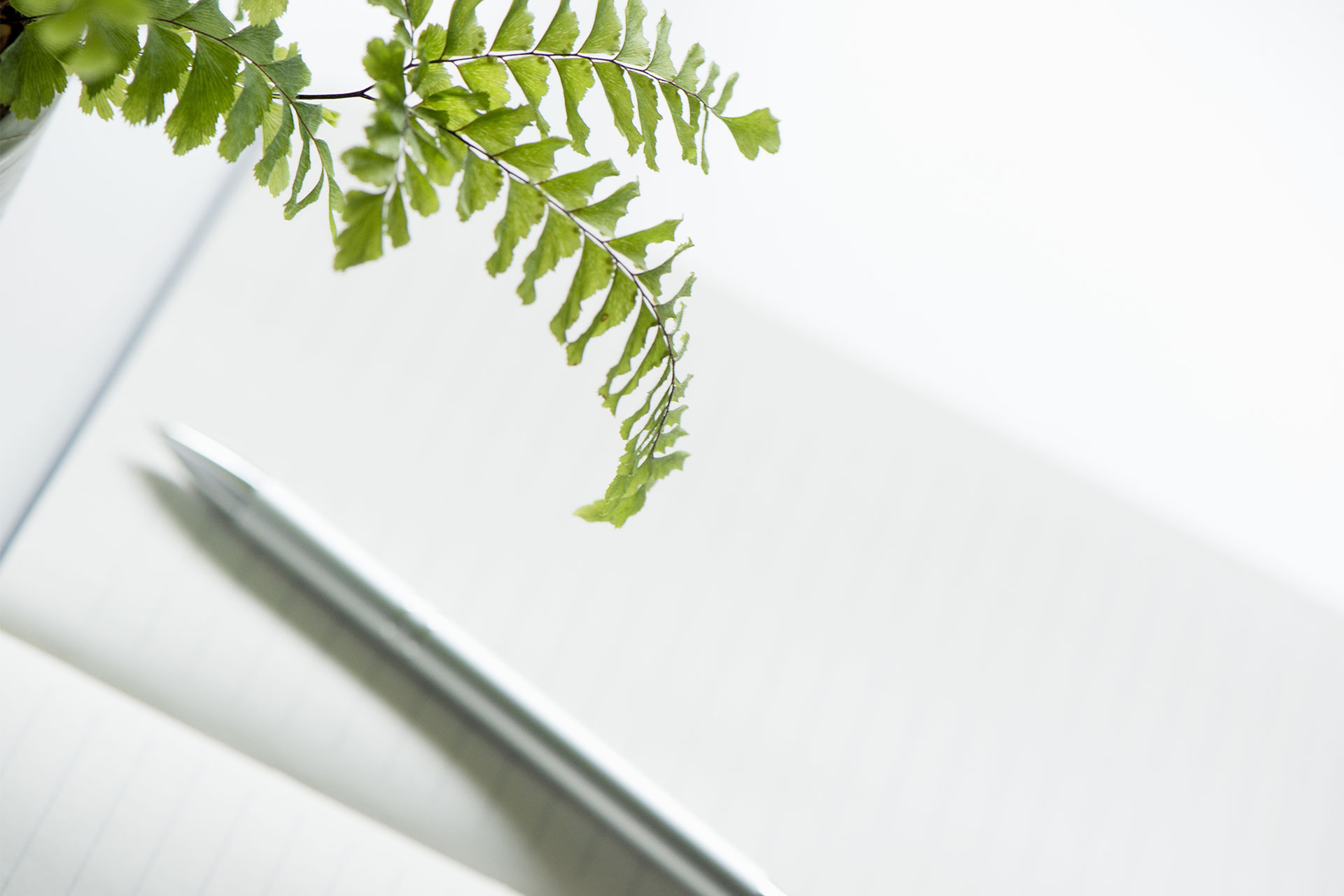 What is Coaching - Elizabeth Hesp Coaching & Consulting